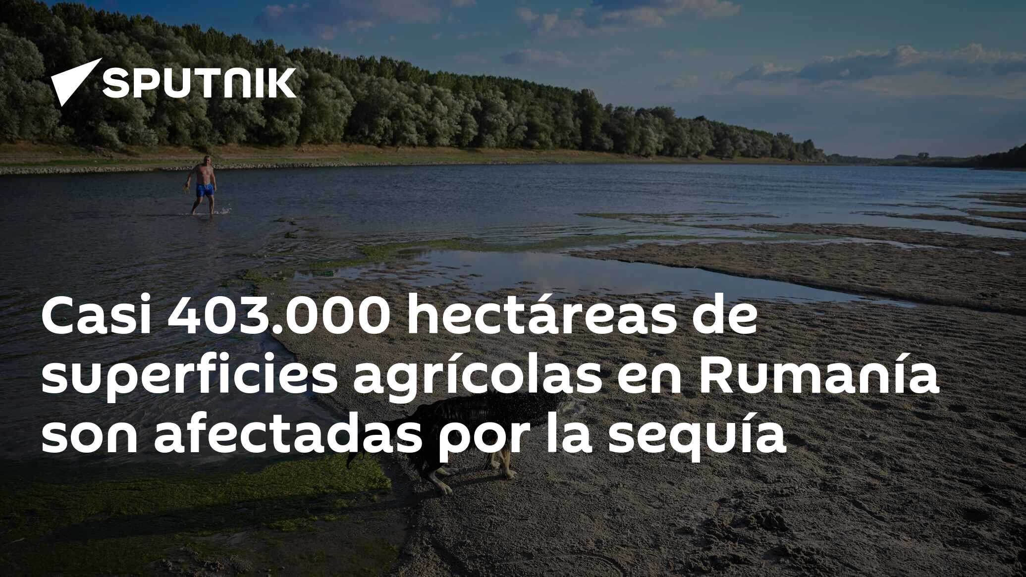 Casi 403 000 Hectáreas De Superficies Agrícolas En Rumanía Son