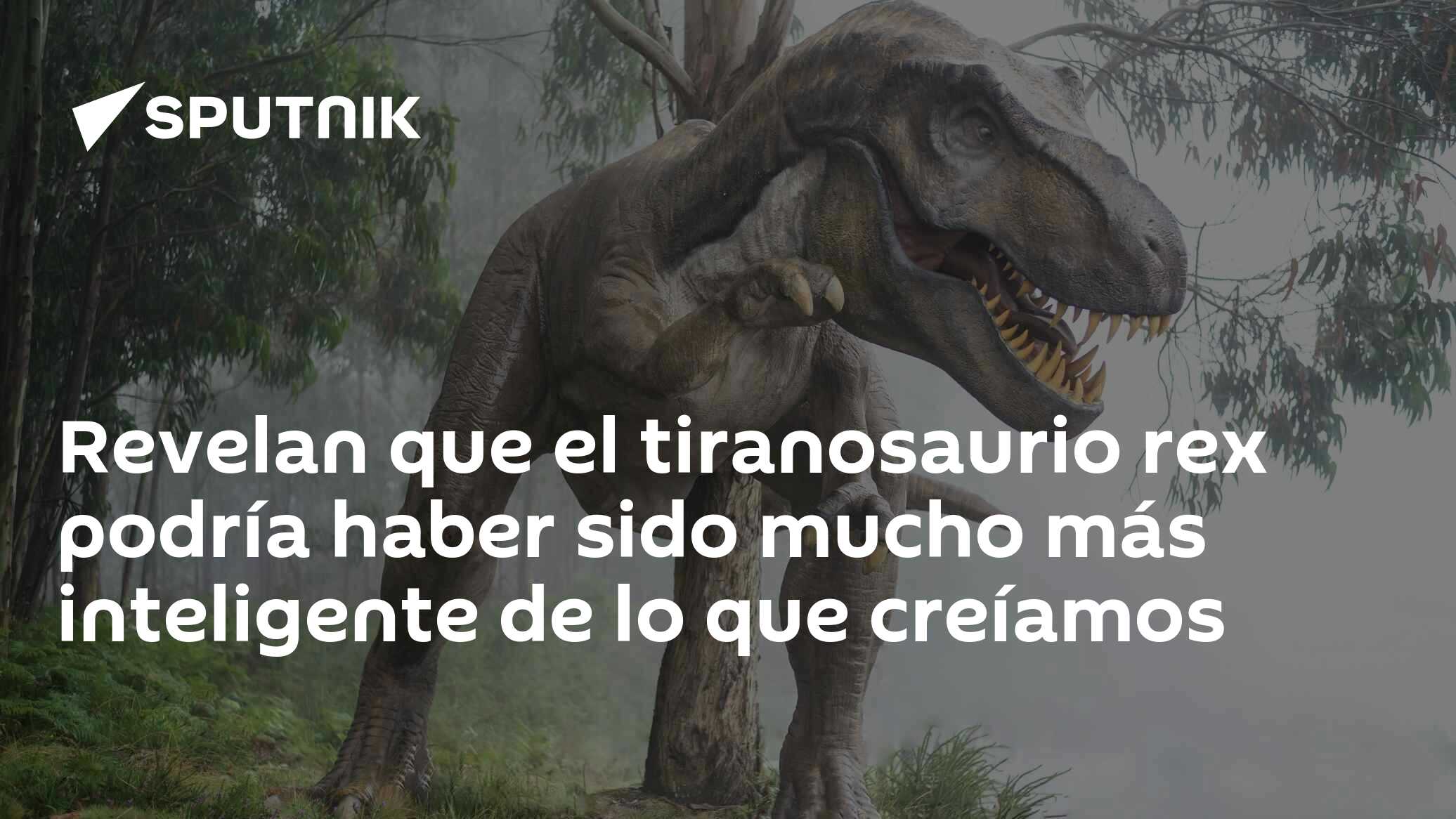 Revelan que el tiranosaurio rex podría haber sido mucho más inteligente ...