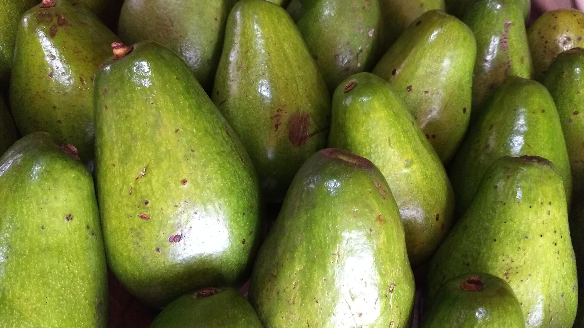 A punta de genética, Colombia espera acabar con la 'tristeza del ...